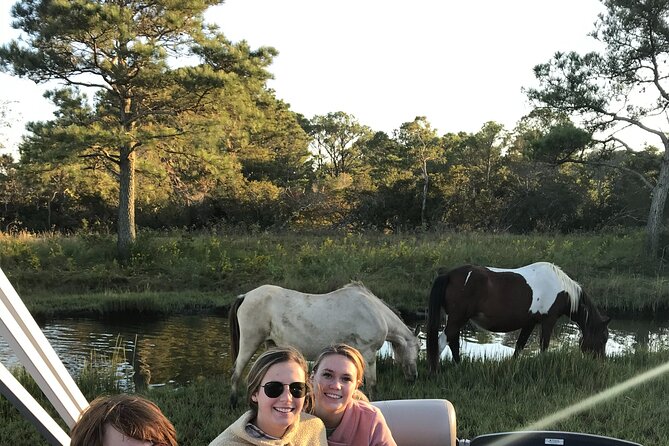 Chincoteague's Up The Bay Pony and Wildlife Tour by Boat - Why Choose the Up The Bay Pony and Wildlife Tour?