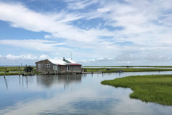 Chincoteague's Up The Bay Pony and Wildlife Tour by Boat - Who Should Book This Tour?