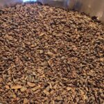 Chocolate Tour Including Hot Chocolate and Samples - The Intimate Atmosphere and Expert Guides