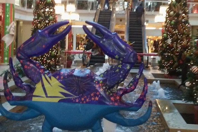 Christmas in Baltimore tour - What to Expect from the Tour
