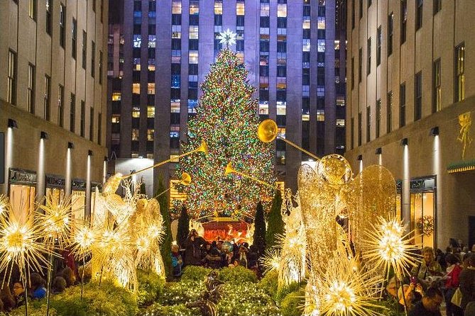 Christmas in New York: Private Holiday History Tour - What Makes This Tour Stand Out?