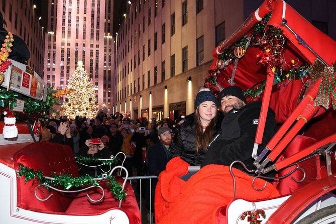 Christmas Light Private Carriage Ride New York City - Key Points