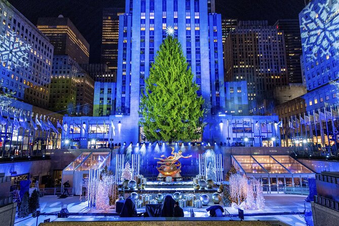 Christmas Light Private Carriage Ride New York City - What You Can Expect from the Tour