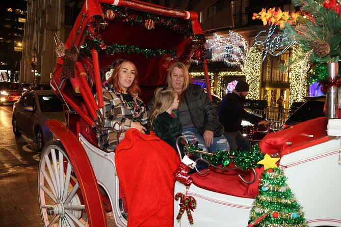 Christmas Light Private Carriage Ride New York City - Final Thoughts