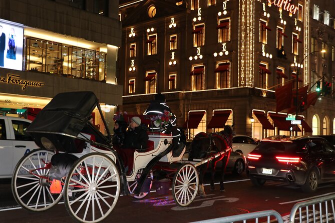 Christmas Light Private Carriage Ride New York City - Final Words