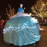Christmas Lights and Snowflake Lane photo tour - Transportation and Group Size