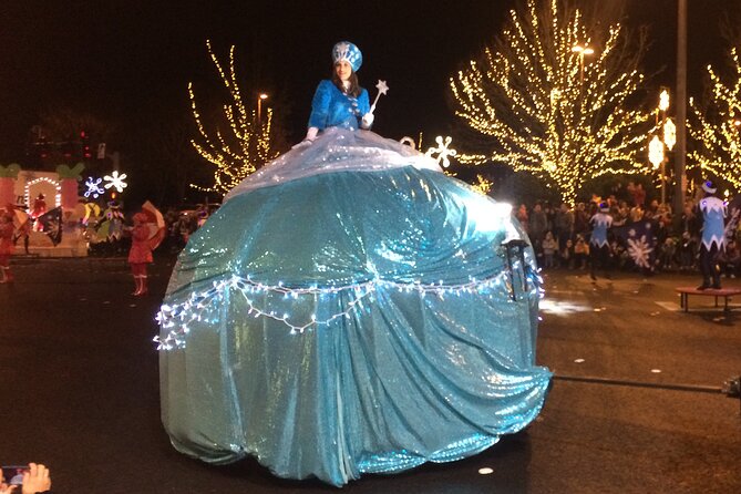Christmas Lights and Snowflake Lane photo tour - Transportation and Group Size