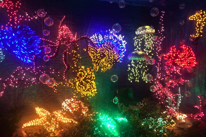 Christmas Lights and Snowflake Lane photo tour - The Sum Up