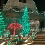 Christmas Lights Tour of Dyker Heights Brooklyn - Who Should Consider This Tour?