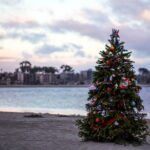 Christmas Time in San Diego - Walking Tour - Who Should Consider This Tour?