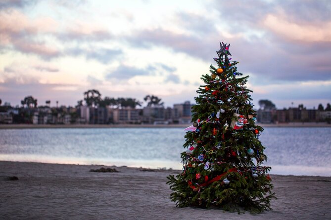 Christmas Time in San Diego - Walking Tour - Who Should Consider This Tour?