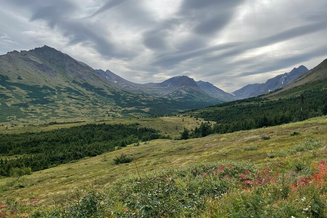 Chugach State Park Nature Walk - A Deep Dive into the Chugach State Park Nature Walk Experience