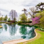 Cincinnati Walking Tour with River Cruise - What Travelers Can Expect