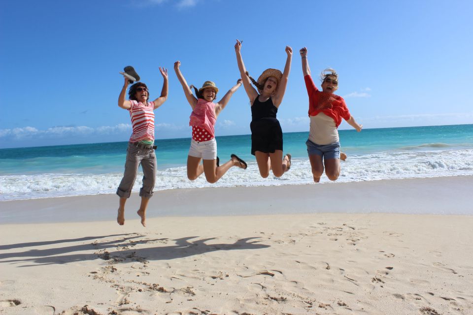 Circle Island: Swim with Turtles and Explore Paradise Oahu - Key Points