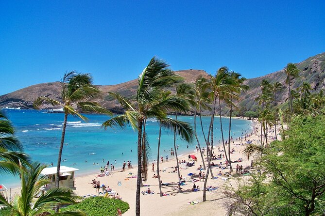 Circle Oahu Island Private Tour with Daily Chauffeur - Key Points