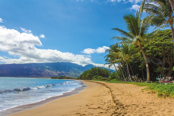 Circle Oahu Island Private Tour with Daily Chauffeur - Final Thoughts