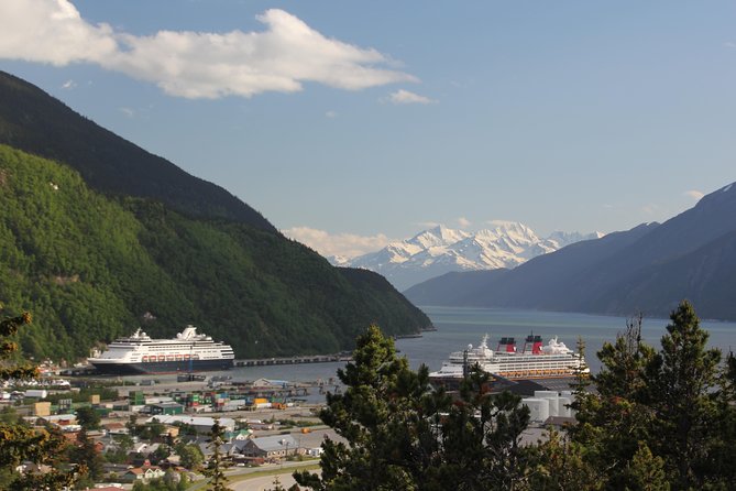 City and Mountain Summit Shore Excursion in Skagway - Key Points