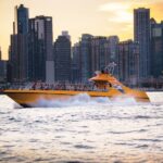 City Cruises Chicago: Seadog Lakefront Speedboat Ride - What Makes This Tour Stand Out?
