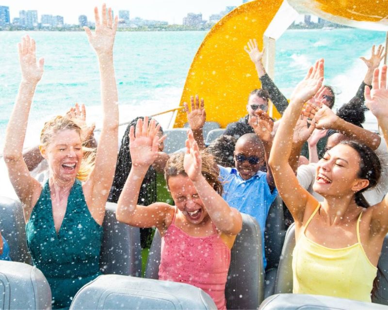 City Cruises Chicago: Seadog Speedboat Lake Firework Cruise - The Experience in Detail