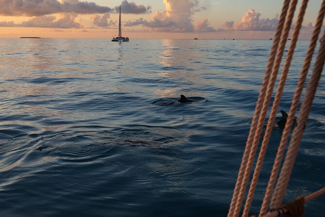 Classic Key West Schooner Sunset Sail with Full Open Bar - The Itinerary Breakdown
