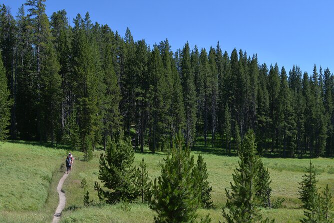 Classic Yellowstone Hike to the Shores of Lake Shoshone (Private - Introducing the Classic Yellowstone Hike to the Shores of Lake Shoshone