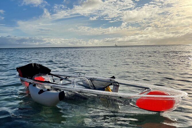 Clear Bottom Glassy Kayak Rental | MAUI | Safe and Stable Kayaks - An In-Depth Look at the Maui Glassy Kayak Experience