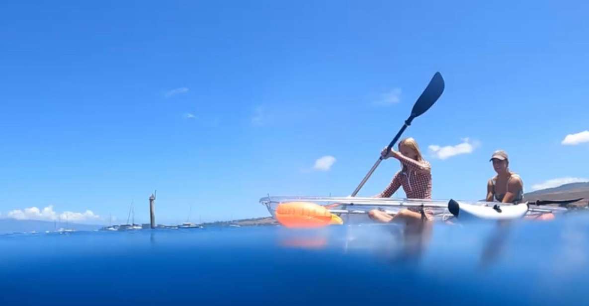 Clear Bottom Glassy Kayak Rental | Safe and Stable Kayaks - Exploring Maui from a New Perspective