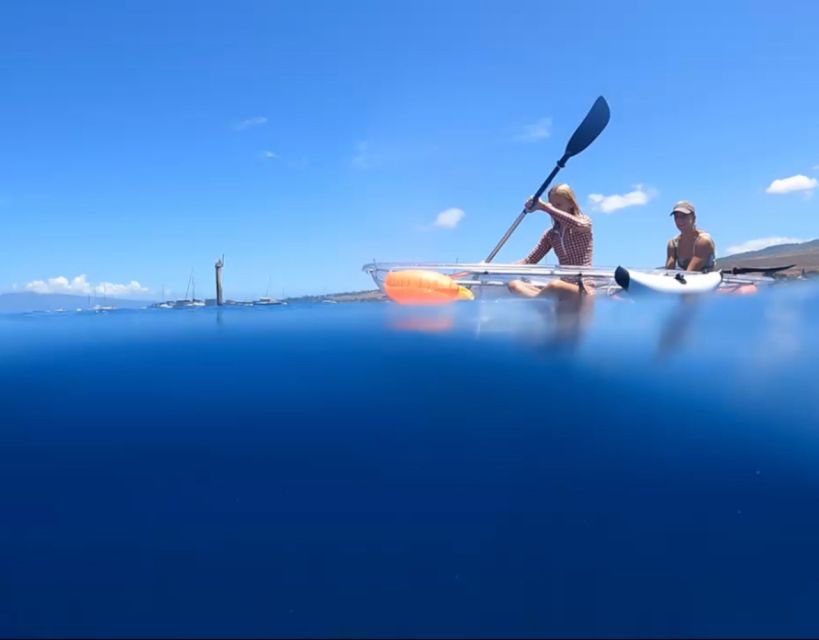 Clear Bottom Glassy Kayak Rental | Safe and Stable Kayaks - Why Choose This Tour?