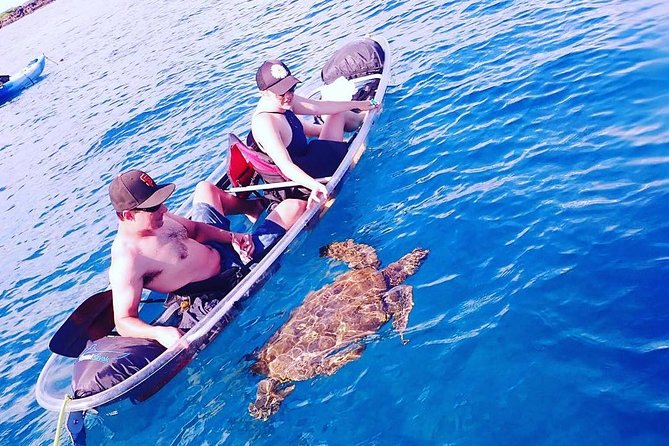 Clear Bottom Kayak and Snorkel Tour at Turtle Town, Makena - Authentic Elements from Reviewers