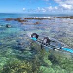 Clear Bottom Kayak - Guaranteed to see Turtles! - FAQs