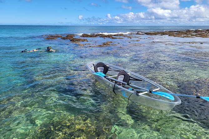 Clear Bottom Kayak - Guaranteed to see Turtles! - FAQs