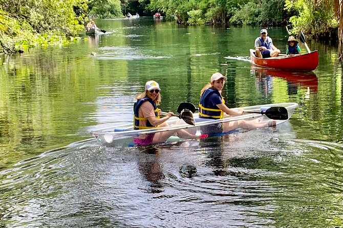 Clear Canoeing and Wildlife Sightseeing at Silver Springs - An In-Depth Look at the Silver Springs Experience