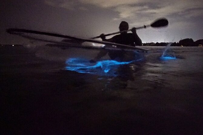 Clear Kayak Bioluminescence Tour - Discover the Magic of the Clear Kayak Bioluminescence Tour in Cocoa Beach
