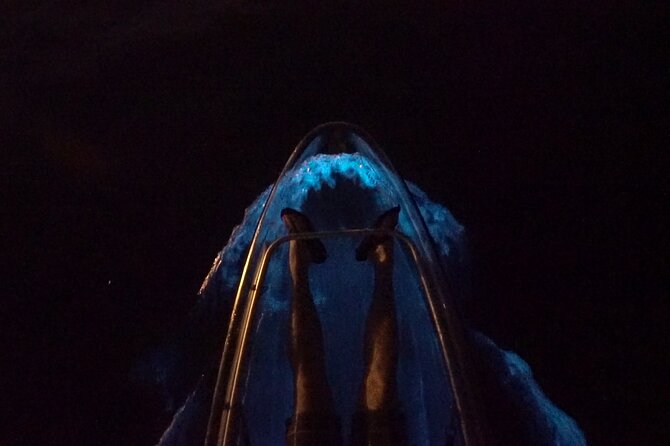 Clear Kayak Bioluminescence Tour - Why the Clear Kayak Bioluminescence Tour Stands Out