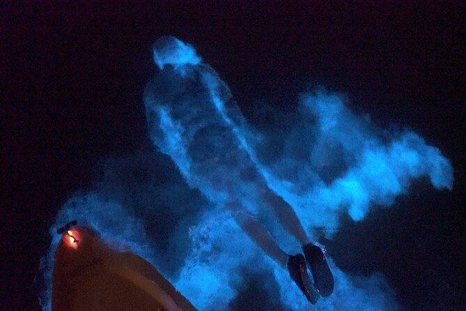 Clear Kayak Bioluminescence Tour - Who Would Love This Tour?