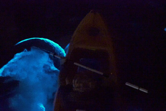 Clear Kayak Bioluminescence Tour - The Sum Up