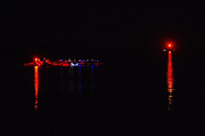 Clear Kayak Bioluminescence Tour - Cocoa Beach - The Experience in Detail