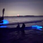 Clear Kayak Bioluminescence Tour - Cocoa Beach - Final Thoughts on the Tour