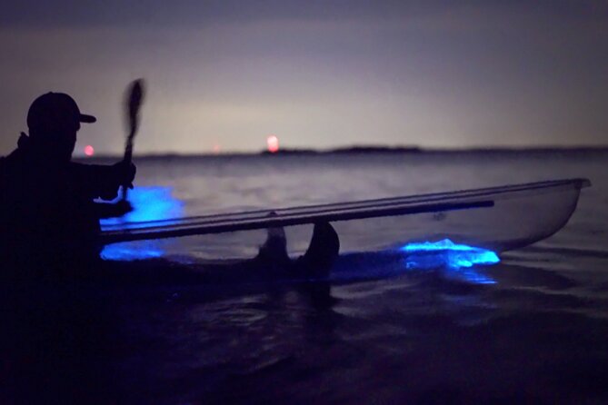 Clear Kayak Bioluminescence Tour - Cocoa Beach - Final Thoughts on the Tour