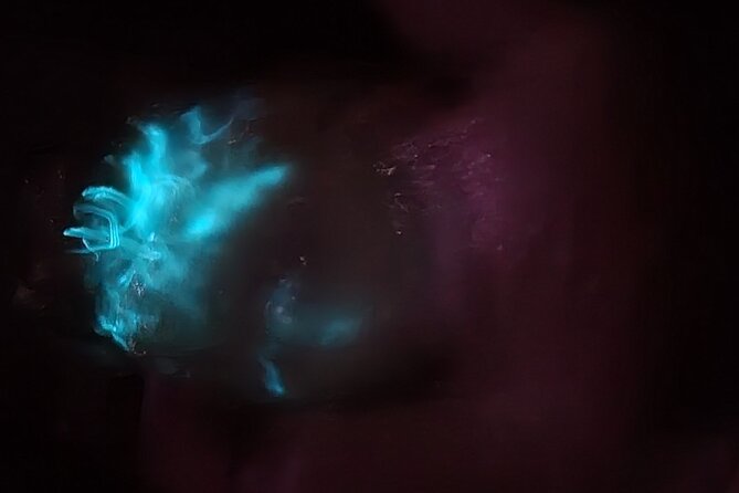 Clear Kayak Bioluminescence Tour - Cocoa Beach - Frequently Asked Questions