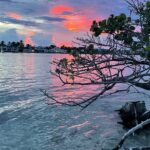 Clear Kayak Eco Tour in Jupiter, Florida - Price and Value: Is It Worth It?