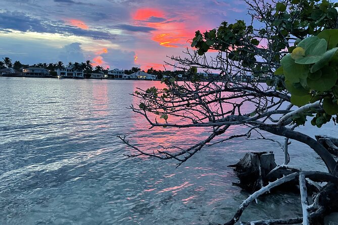 Clear Kayak Eco Tour in Jupiter, Florida - Price and Value: Is It Worth It?