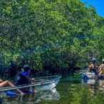 Clear Kayak Ecotour at Robinson Preserve in Bradenton, Florida - Practical Details