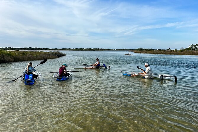 Clear Kayak Ecotour Destin Ft. Walton Beach - A Closer Look at the Ecotour Experience
