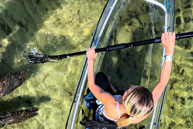 Clear Kayak Ecotour Destin Ft. Walton Beach - Who Is This Tour Best For?