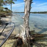Clear Kayak Ecotour Destin Ft. Walton Beach - Final Thoughts