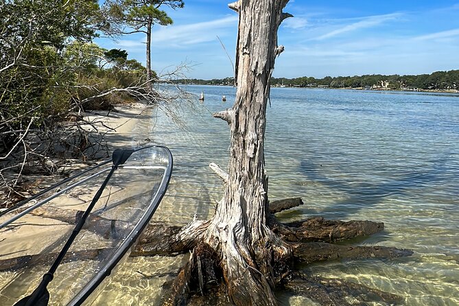 Clear Kayak Ecotour Destin Ft. Walton Beach - Final Thoughts