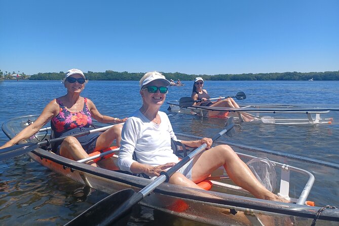 Clear Kayak Glass Bottom Day Tour - Sarasota - The Real Value of This Tour