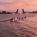 Clear Kayak Glow Tour - Who Should Consider This Tour?