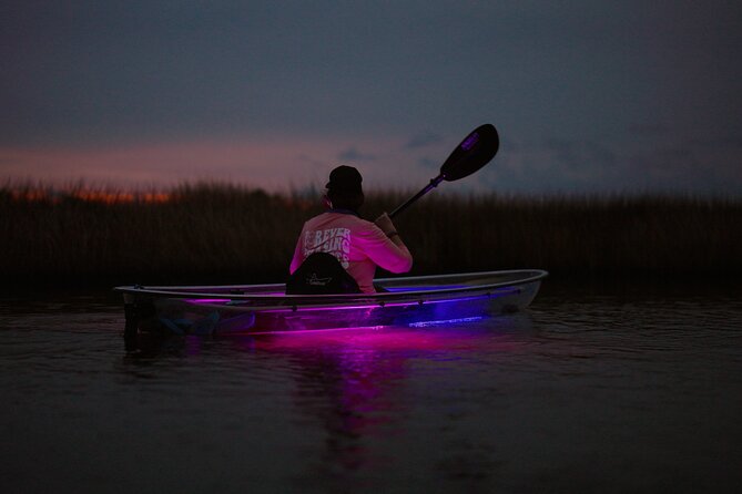Clear Kayak Glow Tour Destin Ft. Walton Beach - Wildlife and Nature